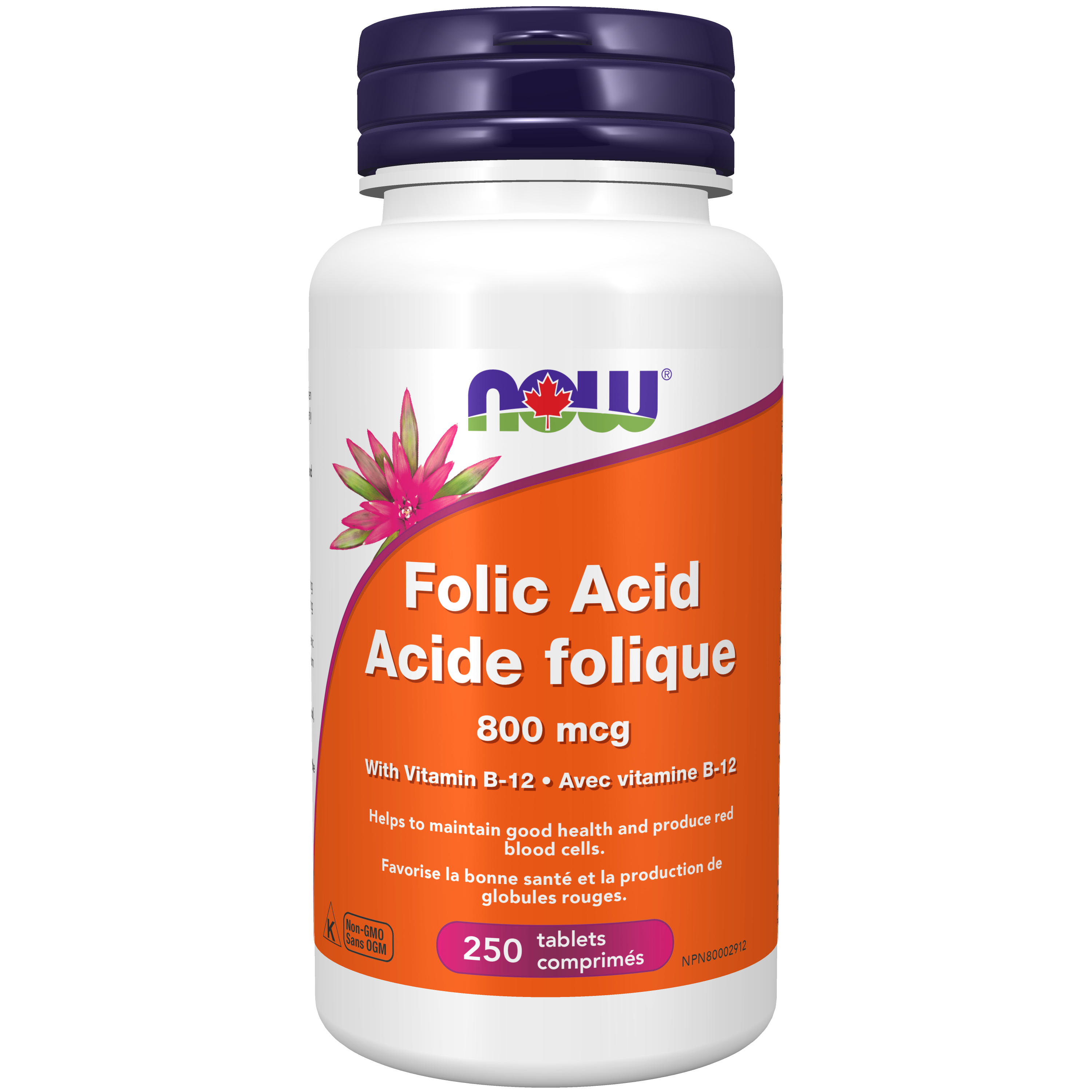 NOW Folic Acid 800 mcg (250 Tablets) at Goods in Kelowna | Goods Health ...